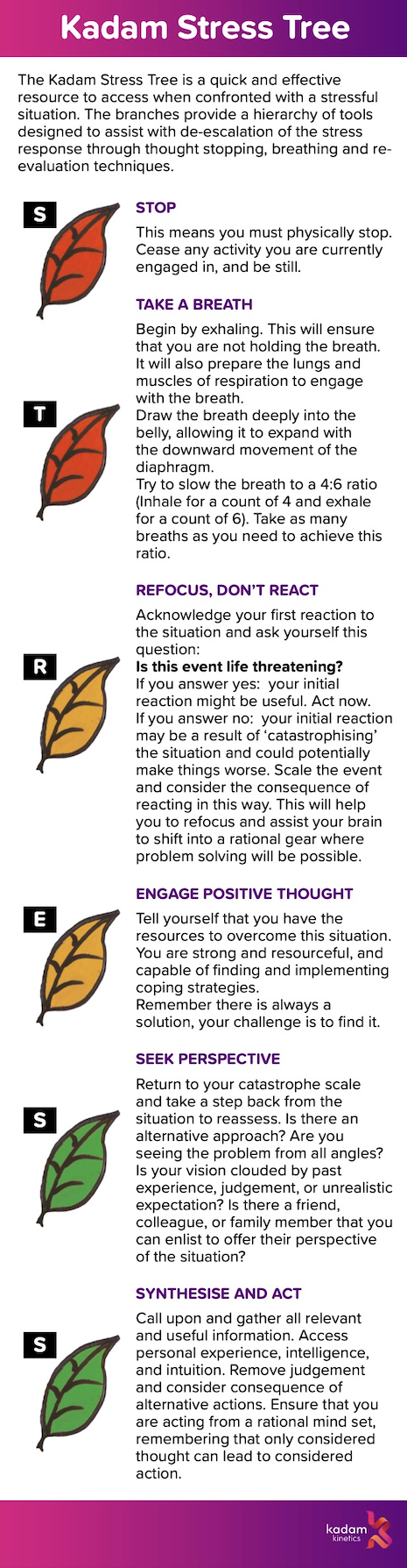 Kadam Stress Tree Poster (+QR Code) | Kadam Kinetics