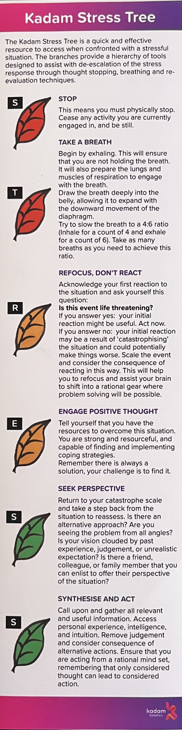 Kadam Stress Tree Poster (+QR Code) | Kadam Kinetics